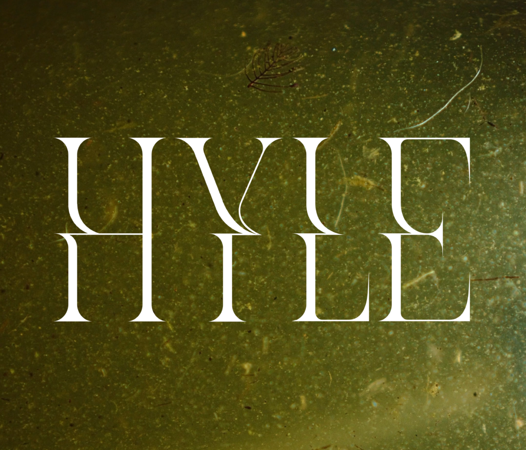 ɧყƖē - Kunstleben Berlin - der Kunst- und Kulturkalender