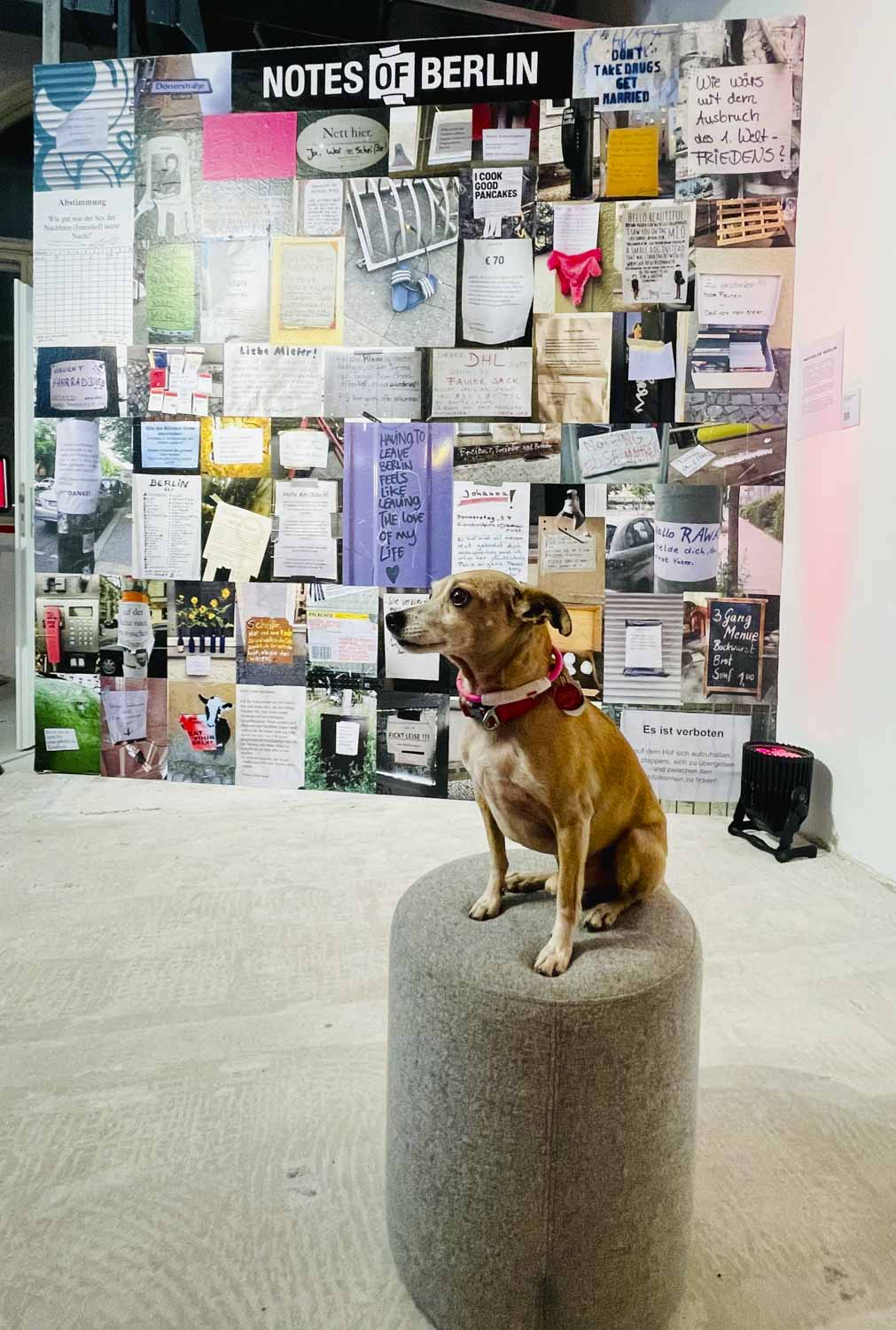 Kolumne: Vernissage Hoppers – Weihnachts- und Neujahrsausgabe ...